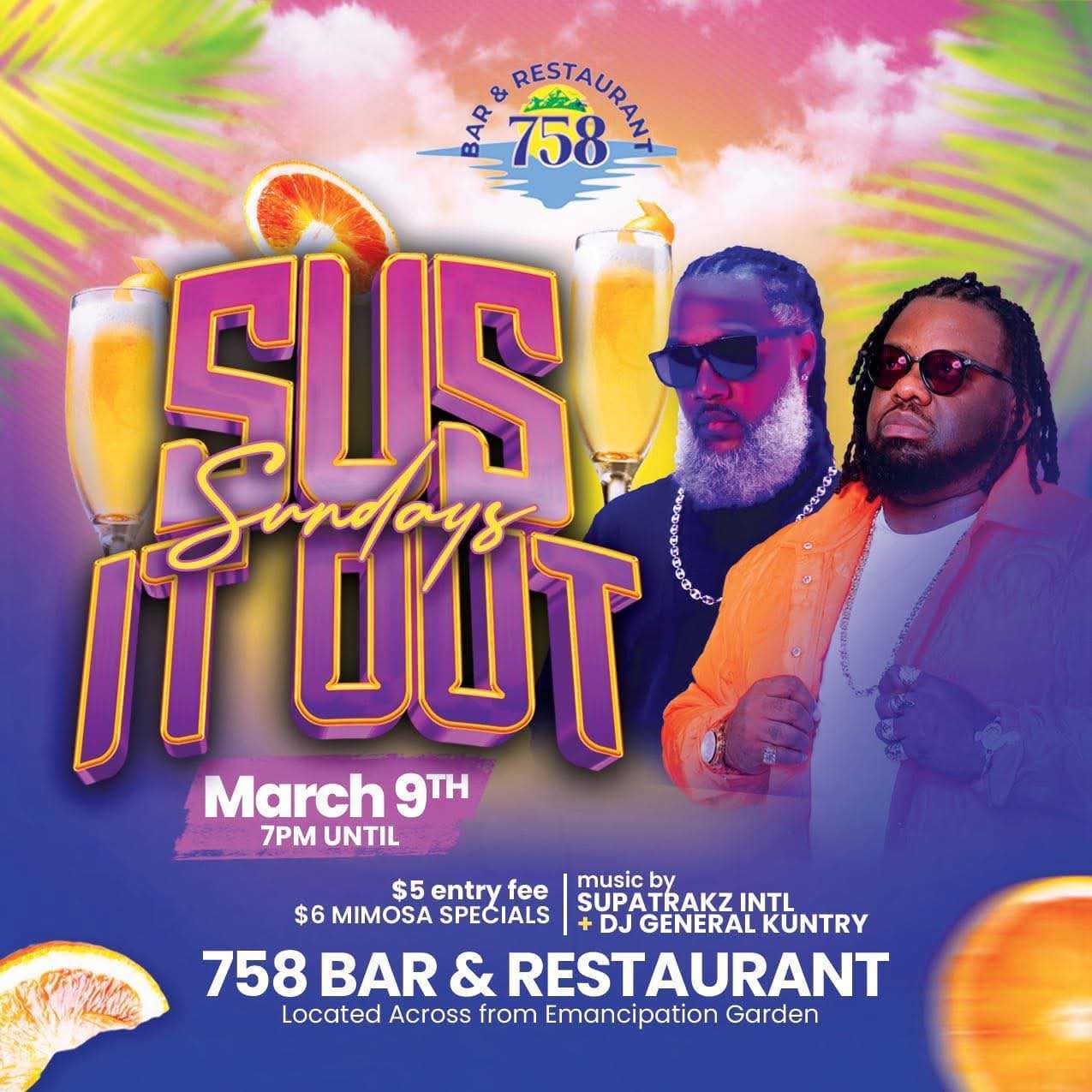 Sus it out Sundays - My Virgin Islands