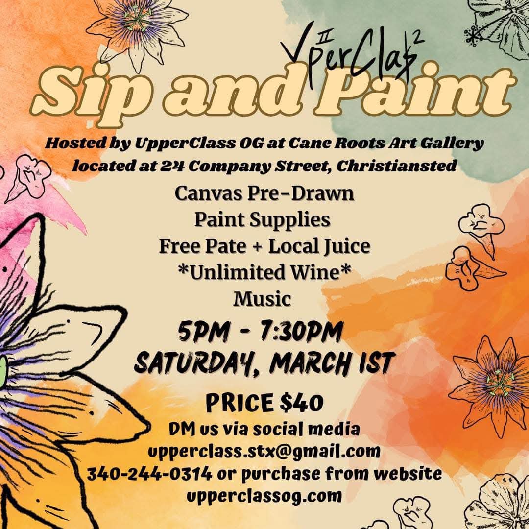 Upper Class Sip & Paint - My Virgin Islands