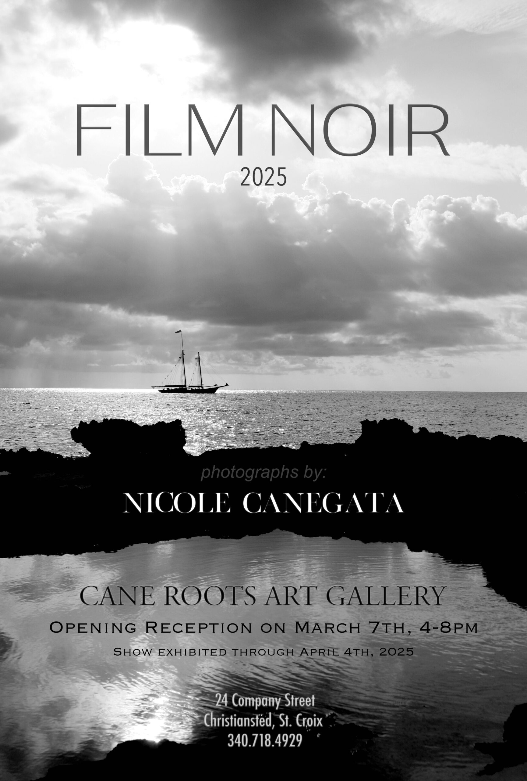 Film Noir 2025 Opening Reception - My Virgin Islands