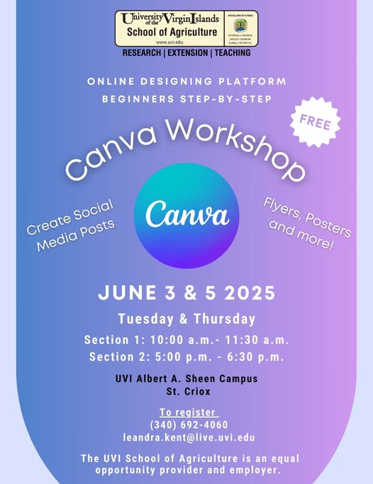 Canva Workshop: Part 1 - My Virgin Islands