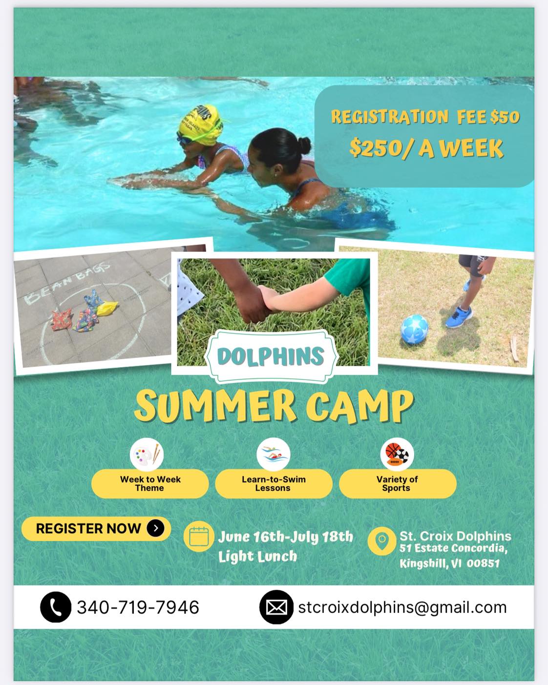 Dolphins Summer Camp - My Virgin Islands