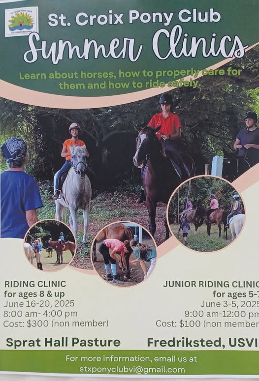St. Croix Pony Club Summer Clinics - My Virgin Islands