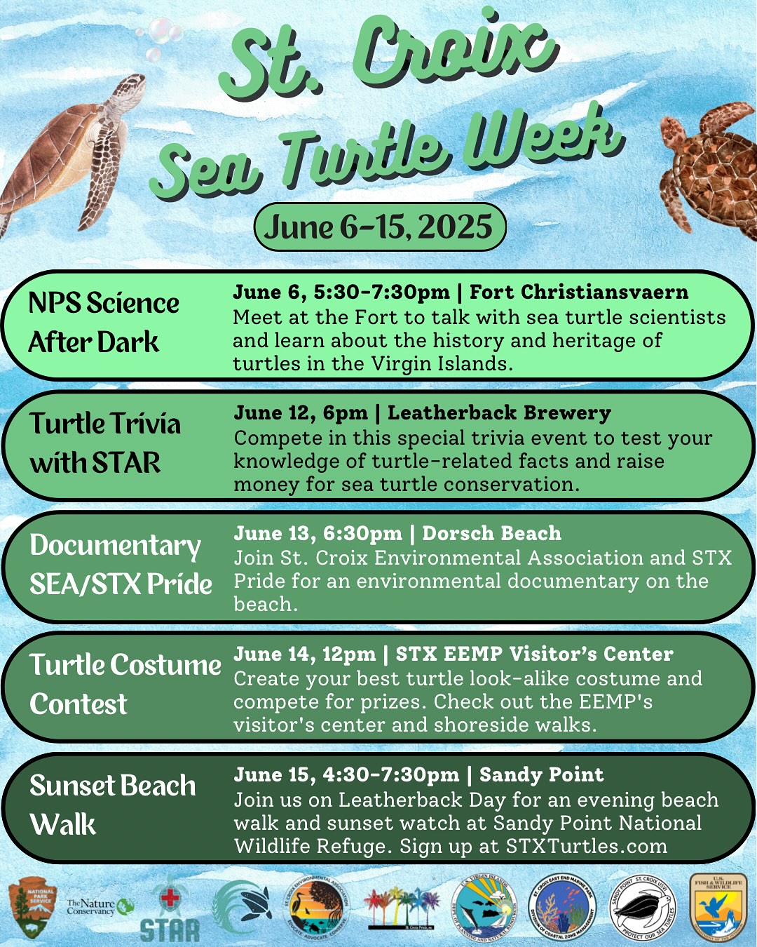 St. Croix Sea Turtle Week - My Virgin Islands