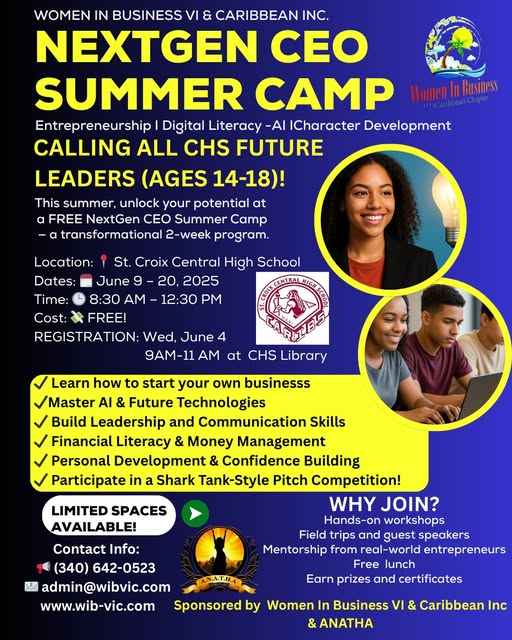 NextGen CEO Summer Camp - My Virgin Islands