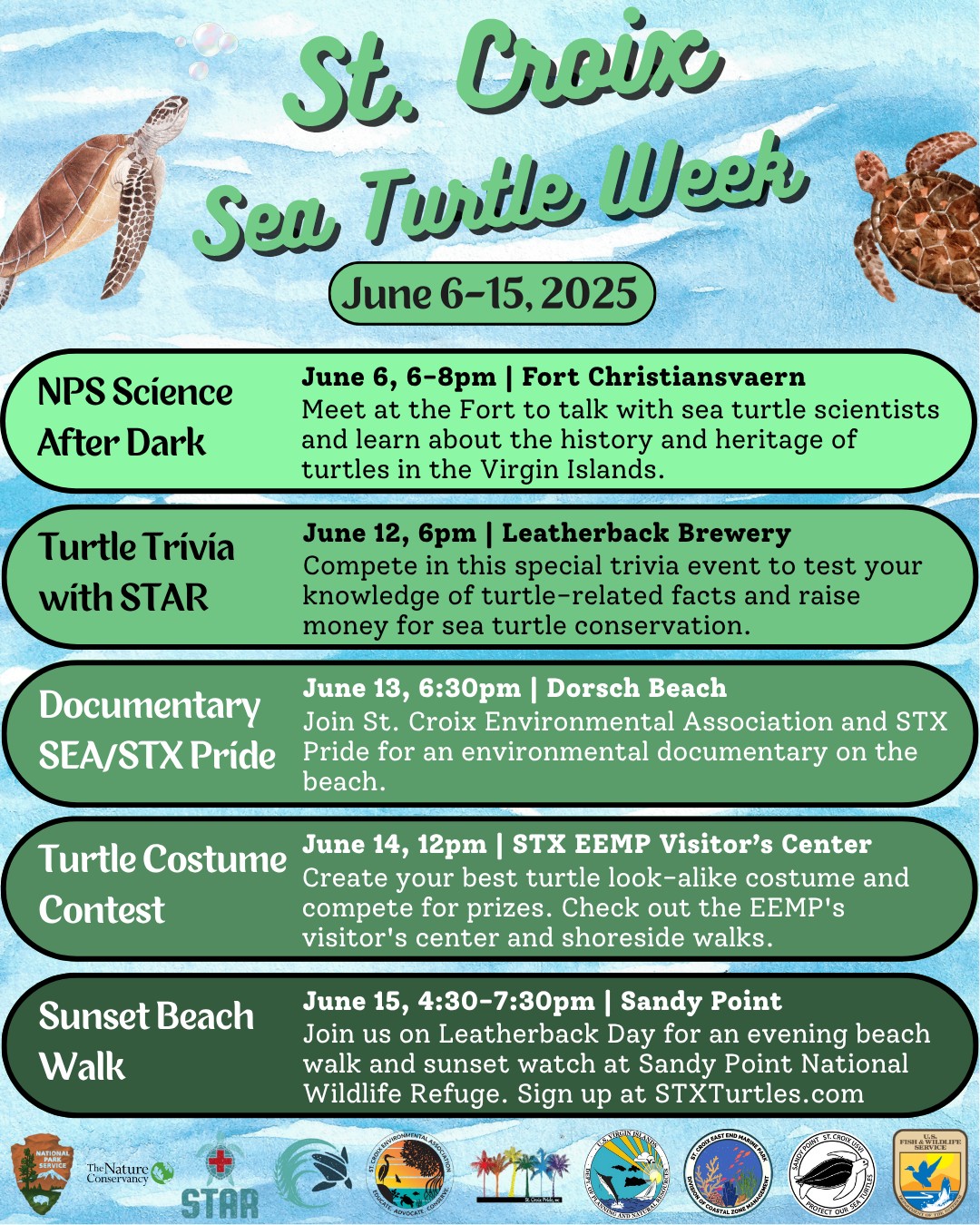 Sea Turtle Week Sunset Beach Walk - My Virgin Islands