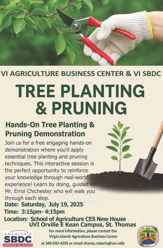 Tree Planting & Pruning - My Virgin Islands