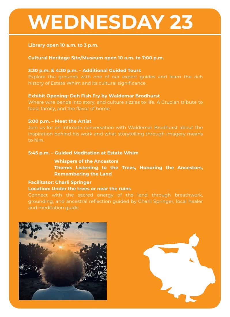 EXHIBIT OPENING: Deh Fish Fry by Waldemar Brodhurst - My Virgin Islands