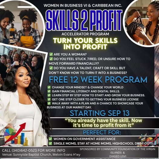 Skills 2 Profit: Free 12 Week Program - My Virgin Islands